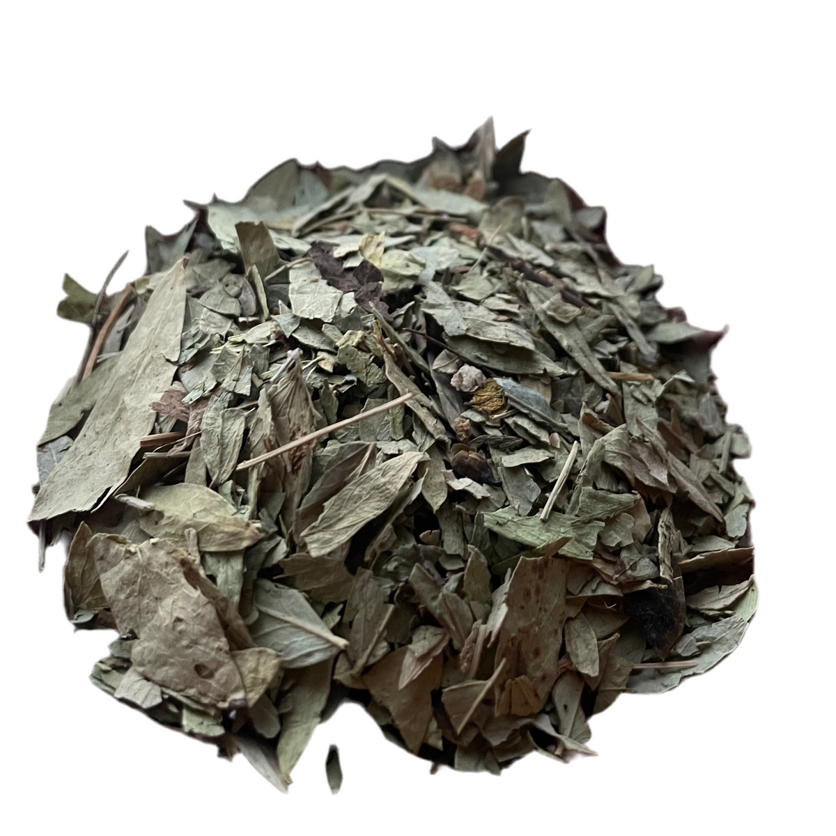 Organic Senna Leaf (Senna alexandrina) – Gaia Emporium